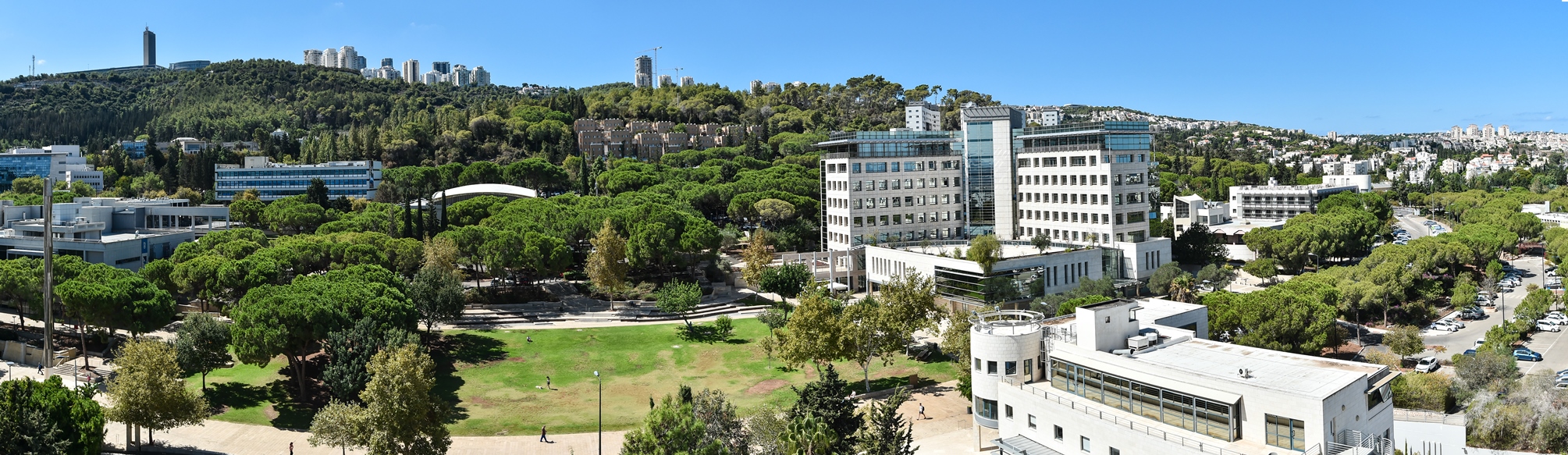 Technion in a Nutshell – Technion Brand